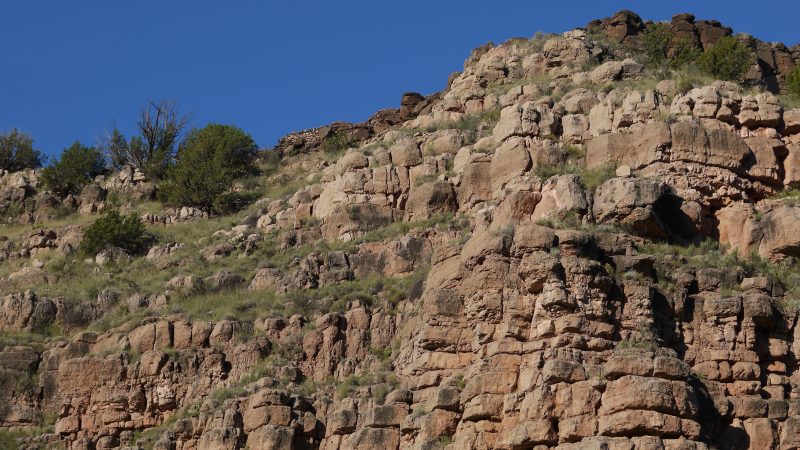 Primitive Wilderness Skills at The Aboriginal Living Skills School ...