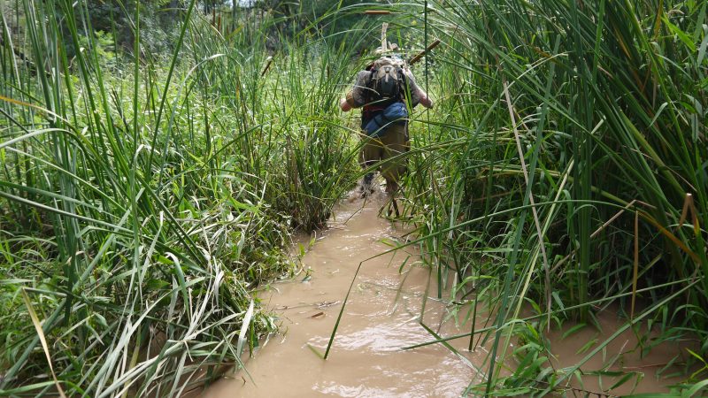 Primitive Wilderness Skills at The Aboriginal Living Skills School ...