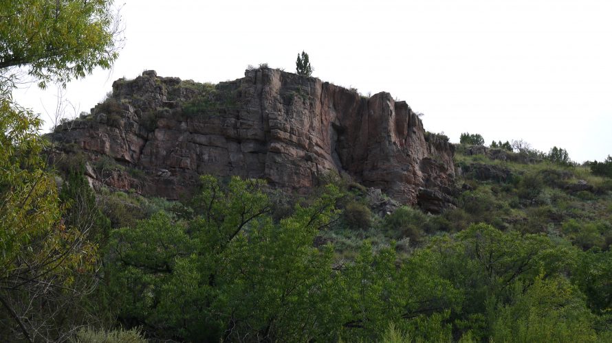 Primitive Wilderness Skills at The Aboriginal Living Skills School ...